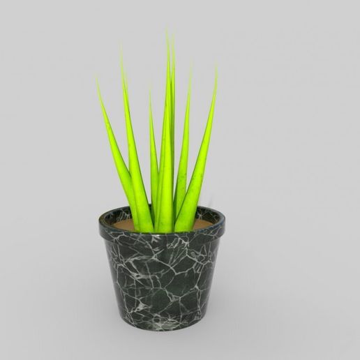 3D file Potted Plant 🪴 ・3D print object to download・Cults