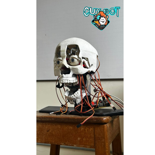 💀 Human Animatronic Skull・ STL File for 3D printing・Cults