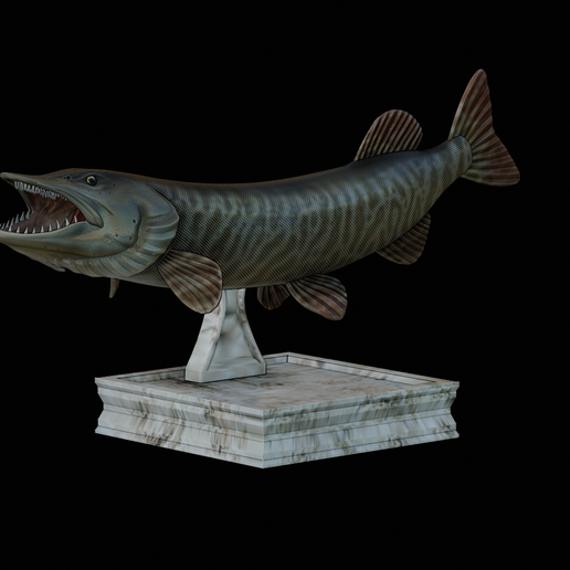 STL file fish pike muskellunge muskie / Esox masquinongy in motion 2 ...