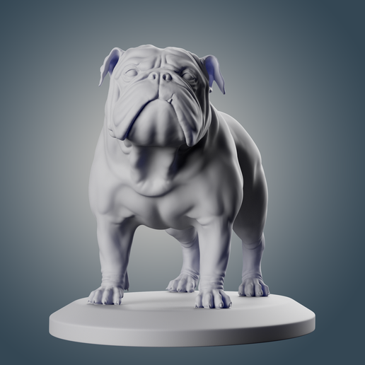 🗿 English Bulldog 3D Print model・ STL File for 3D printing・Cults