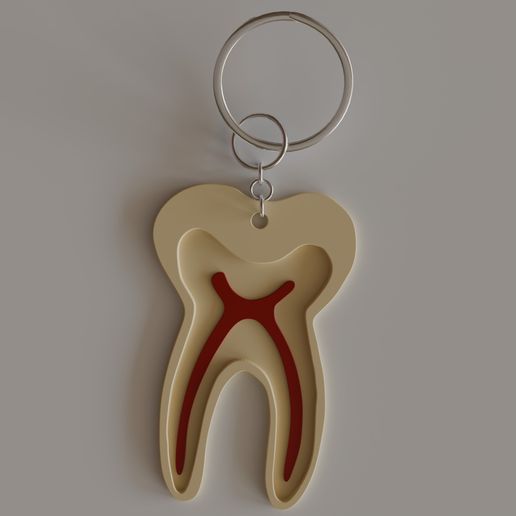 STL file Tooth shaped dental key chain / keychain 🦷 ・3D printable model ...