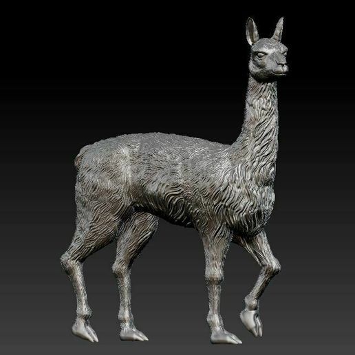 🔥 vicuña・ OBJ File for ・Cults