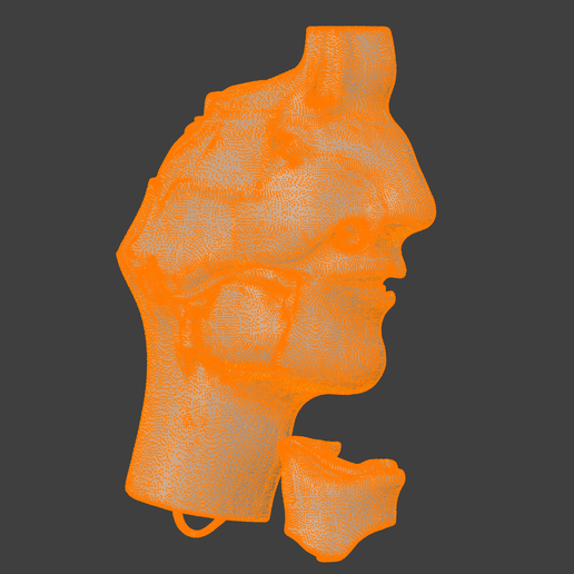 👃 3D Model of Cavities of Nose, Mouth and Throat・ STL File for 3D ...
