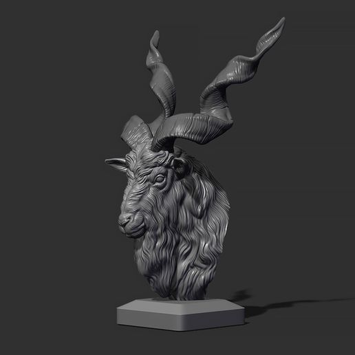 🐐 Markhor goat head・ STL File for ・Cults