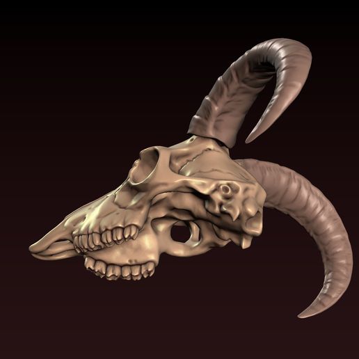 STL file Goat Skull 🐐 (OBJ)・3D printable model to download・Cults