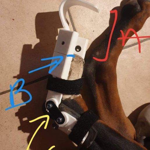 Fichier STL gratuit Prothèse de patte pour chien ( prototype) / Paw ...