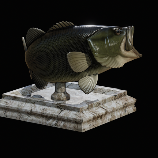 🐠 fish Largemouth Bass / Micropterus salmoides trophy statue detailed ...