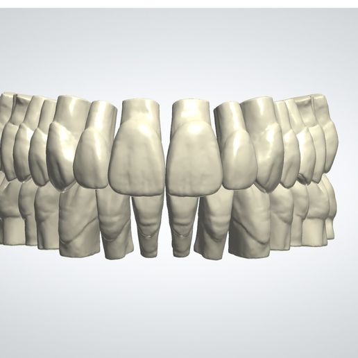 🦷 3Shape Library AP_Exo_oval・ STL File for 3D printing・Cults
