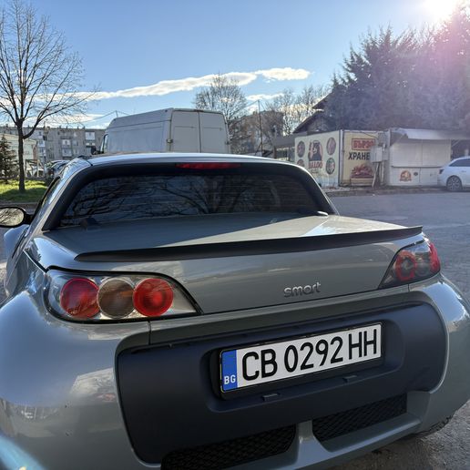 custom smart roadster