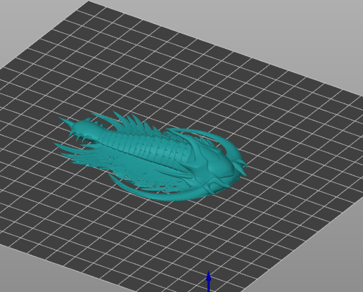 🎲 Trilobite・ STL File for 3D printing・Cults