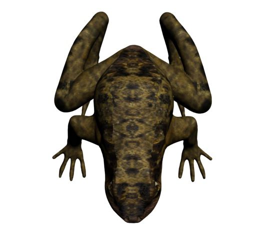 STL file Frog toad bullfrog caecilian croaker polliwog 🐸 ・3D printing ...