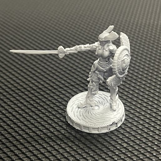 🪓 Valkyrie, RPG,TableTop,OnePiece,Female,Winged,Armor,Shield・ STL File ...
