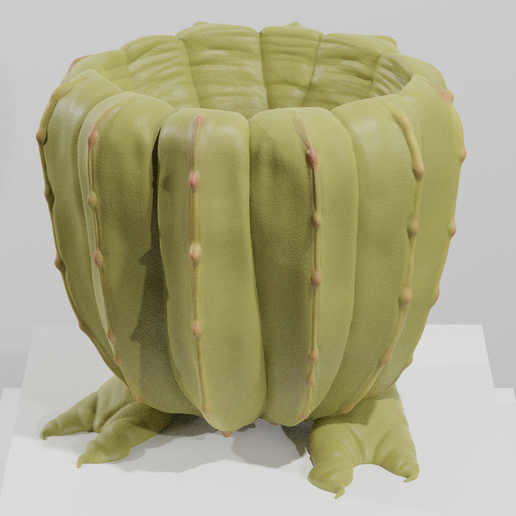 OBJ file Bubi the Cactus Pot 3d printable file 🌵 ・3D printable model to ...