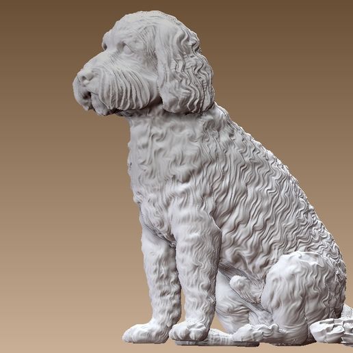 🐕 Estatua de perro - Dexter the Cockapoo statue - Impresión 3D・Archivo ...