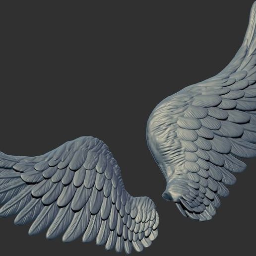 🪶 Wing model 3d printable model cnc・ 3D File for 3D printing and CNC ...