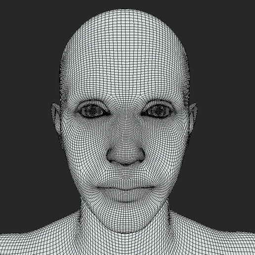 👫 Human Body Base in T-Pose・ STL File for 3D printing・Cults