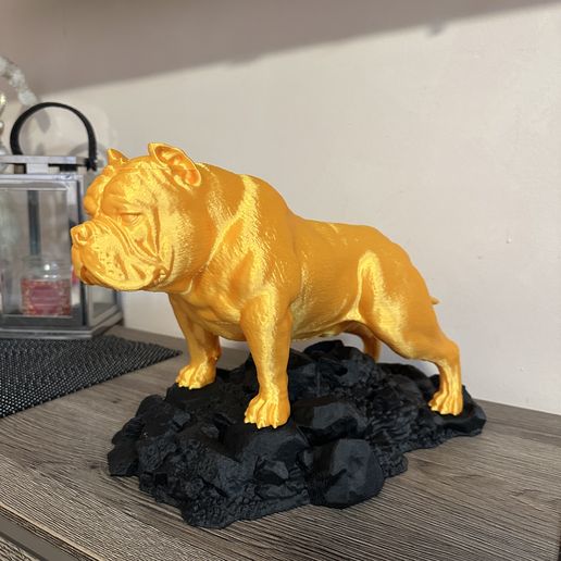 🐕 AMERICAN BULLY・3D Print・Cults