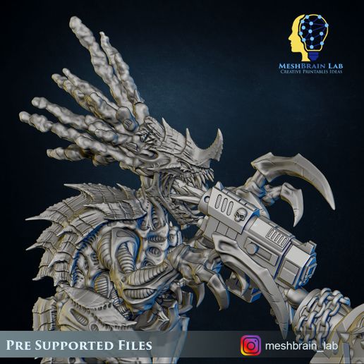 🛰 Imperial Marine Commander vs Swarm Warrior・ 3D File for 3D printing・Cults