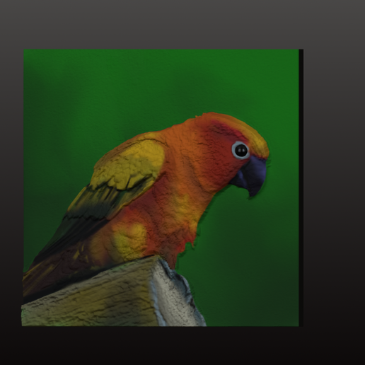 🦜 Parrot Bas Relief・ STL file for 3D printing・Cults