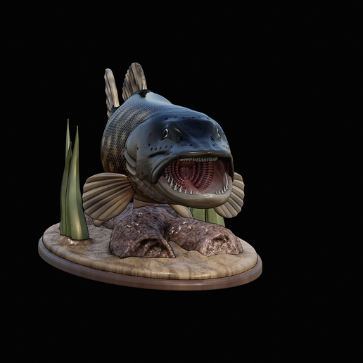 🐠 fish NORTHERN PIKE (ESOX LUCIUS) in motion 2 natural base detailed ...
