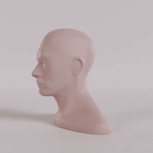 👤 bust base male・ STL File for ・Cults
