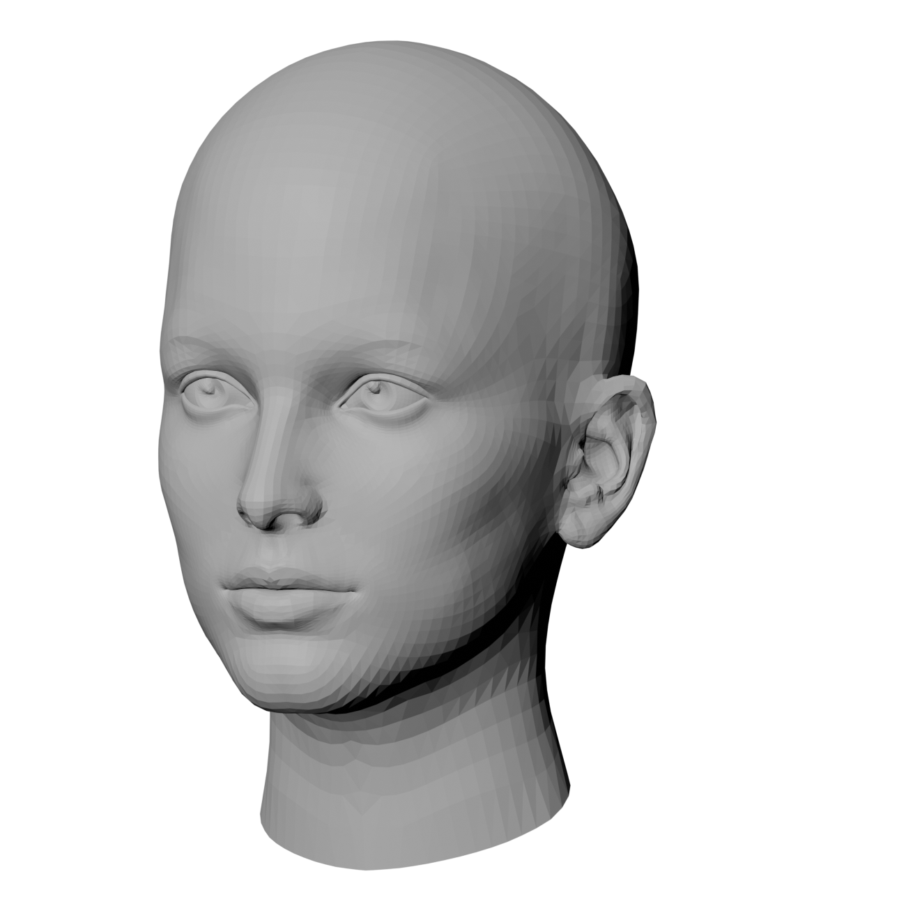 Fichier Stl Base Tête Femelle・plan Pour Impression 3d à Télécharger・cults