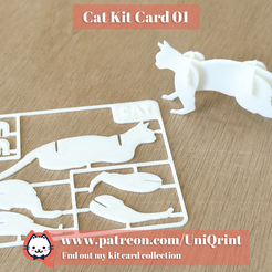 Kit Card best 3D printing models・95 designs to download・Cults