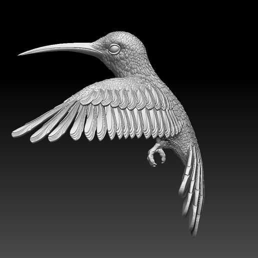 🐦 colibri humming bird 3D print model・ STL File for ・Cults