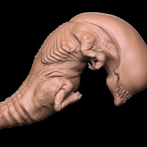 👽 Alien 3 embryo・ OBJ File for ・Cults