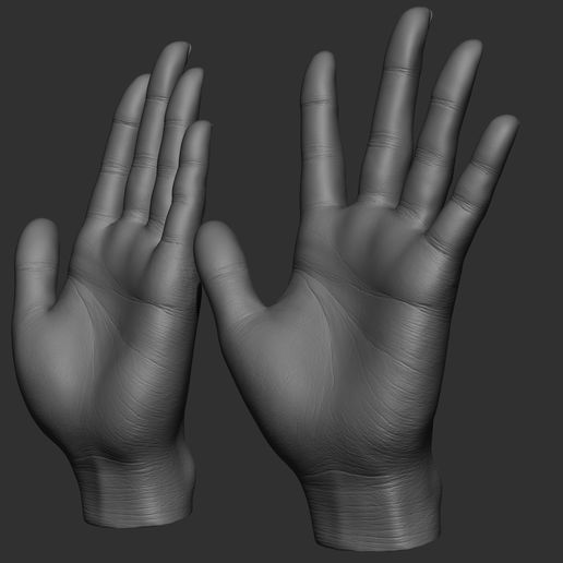 ♀️ 17 Female hand poses・ 3D File for ・Cults