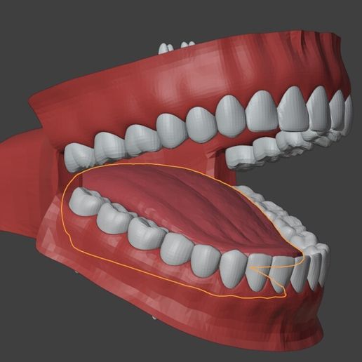 👄 3D Teeth, Tounge, Mouth - Dental Model・ STL File for 3D printing・Cults