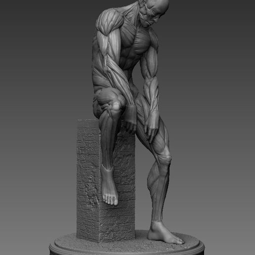 STL file Human Anatomy art 🎨 ・3D printable model to download・Cults