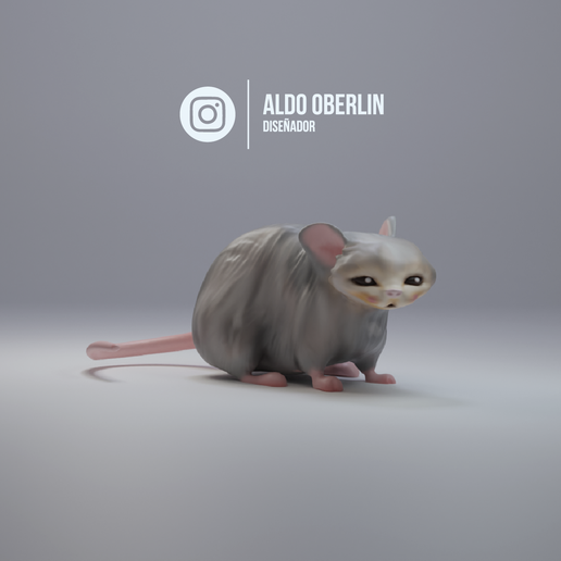 STL file Rat Cat / Mishi Rata 🐀 ・3D printer design to download・Cults