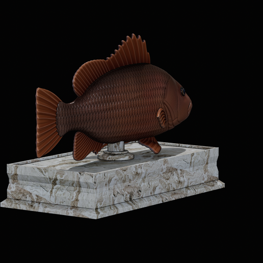 🐠 fish mangrove jack / mangrove red snapper / Lutjanus argentimaculatus ...