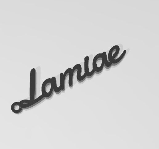 👩 Lamiae・ STL File for 3D printing・Cults