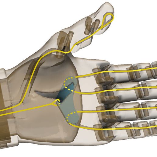 Free 3D file Kwawu Arm 💪 ・3D print object to download・Cults