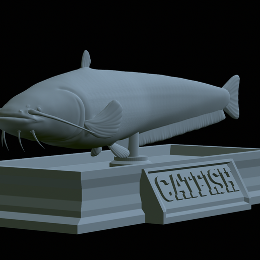 🐠 fish wels catfish / Silurus glanis statue detailed texture for 3d ...