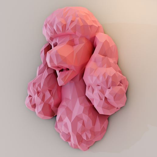 STL file poodle head wall mount low poly mouth open stl 🐩 ・3D print ...