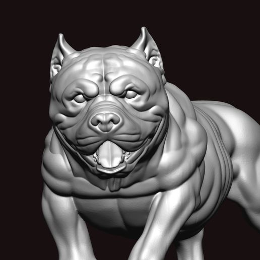 🐕 American bully dog 3d print, standing pose・ STL File for 3D printing ...