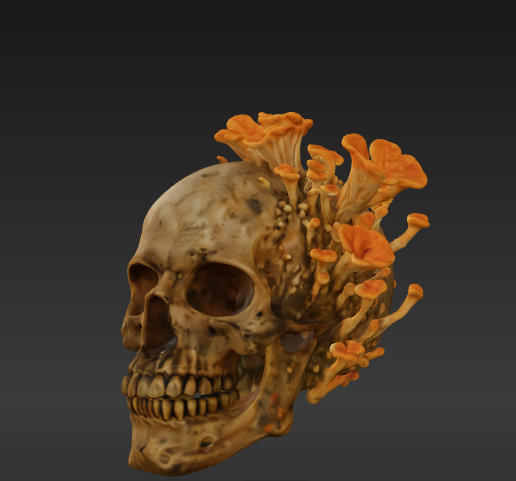 💀 Infected Skull - The Last Of Us Fan Art・Free STL File for 3D printing ...