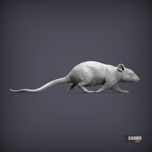 🐀 rat is running・ STL File for 3D printing・Cults
