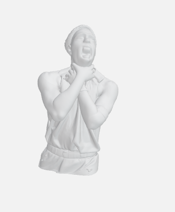 🏀 Tyrese Haliburton Choke - Figure・ OBJ File for 3D printing・Cults