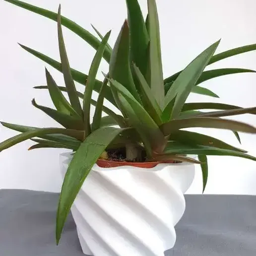 STL file small pot 🤏 ・3D printer design to download・Cults