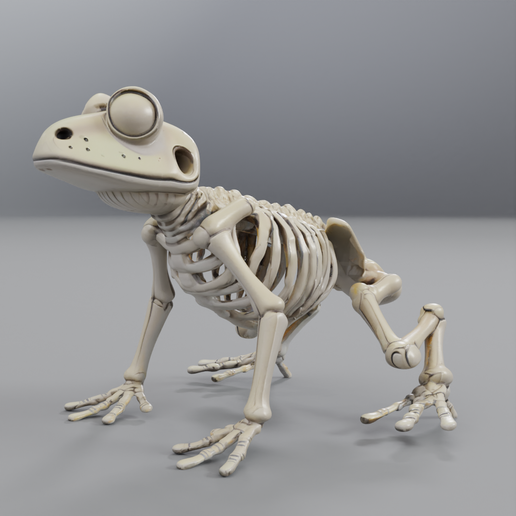 🐸 frog skeleton・ 3D File for 3D printing・Cults