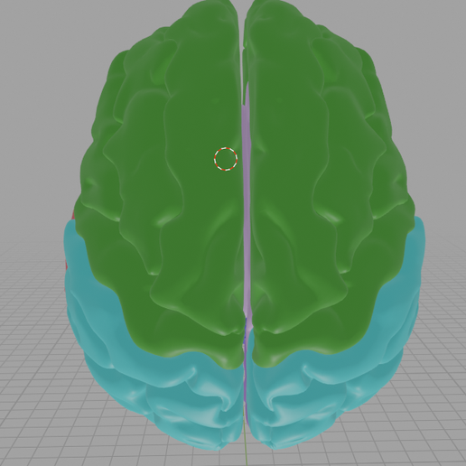 🧠 3D human brain anatomy with frontal, parietal, occipital, temporal ...