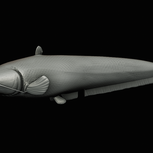 🐠 fish catfish / Silurus glanis with storage space / for 3d printing ...
