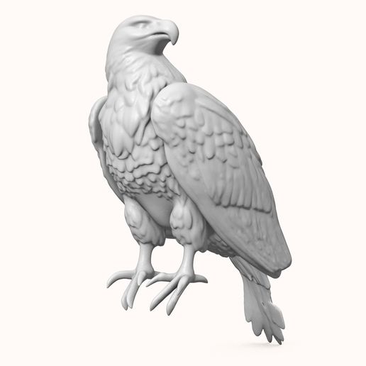 🦅 Eagle・ STL File for 3D printing・Cults