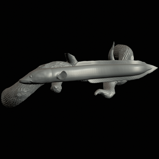 Free STL file Eel underwater statue on the wall detailed texture for 3d ...