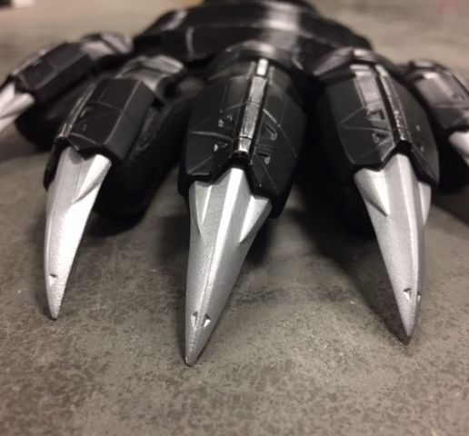 Black Panther Claws Animal