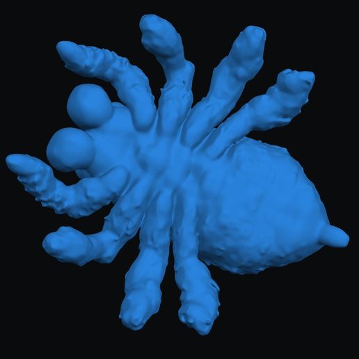 🕷️ Cute tarantula・ STL File for 3D printing・Cults